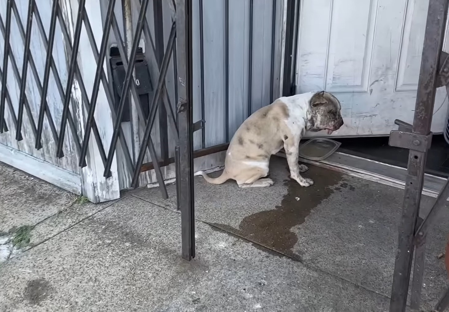 From the Streets to Safety: Jessie’s Journey from Suffering to Love ...