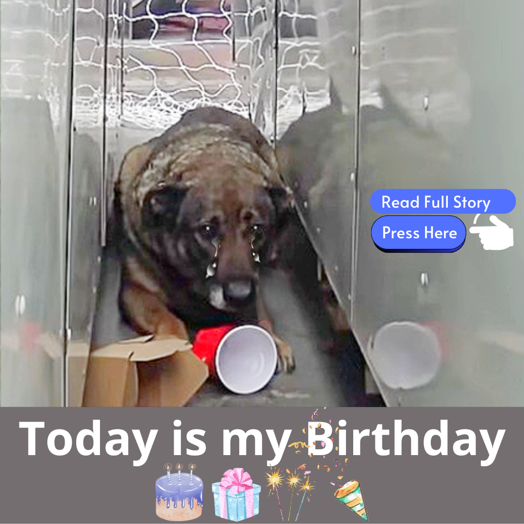 Toby Marks First-Ever Birthday Celebration with Beloved Forever Family ...