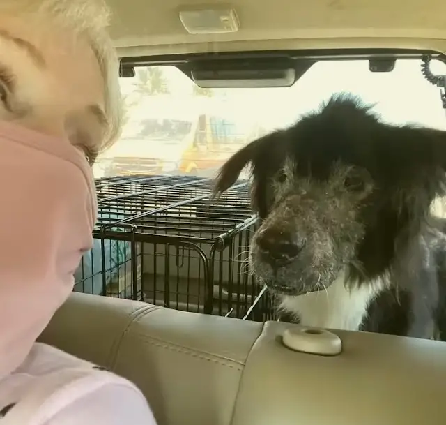 Enduring Ten Years of Sickness, Neglect, and Solitude, His Appearance ...